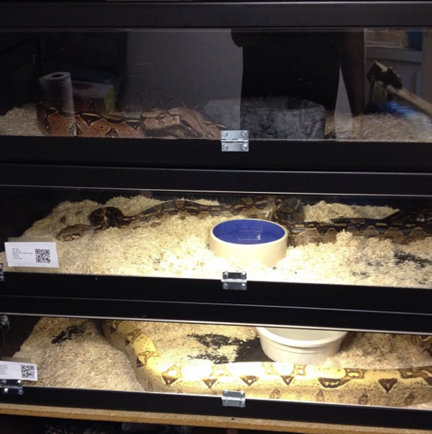 Gallery – Boaphile Plastics